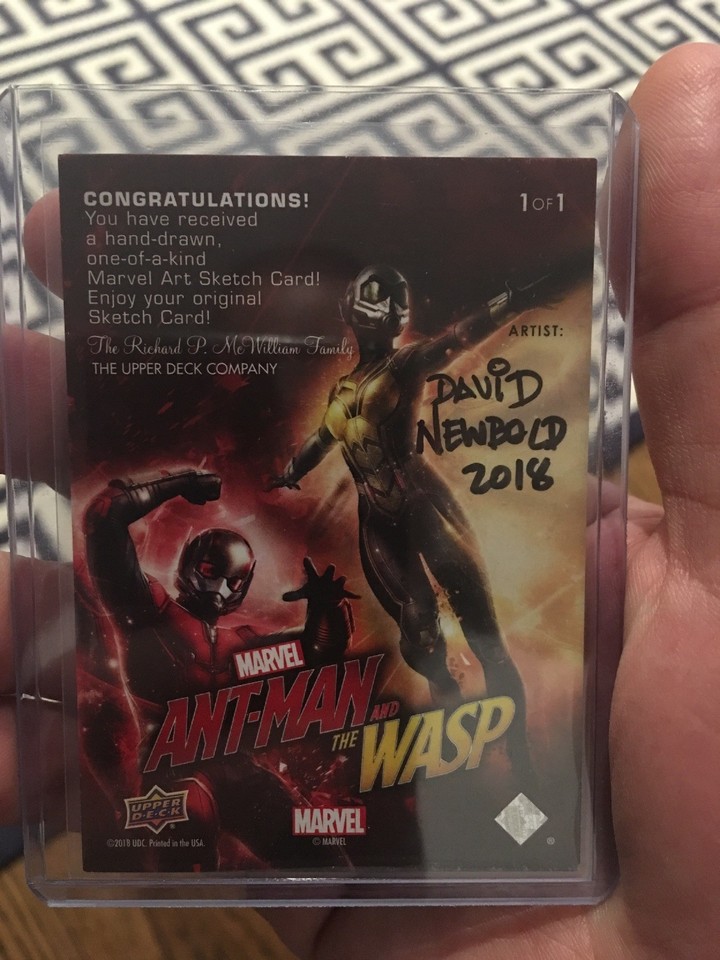 Ant-Man David Newbold 2018 Upper Deck Ant-Man and Wasp Sketch Card 1/1 ...