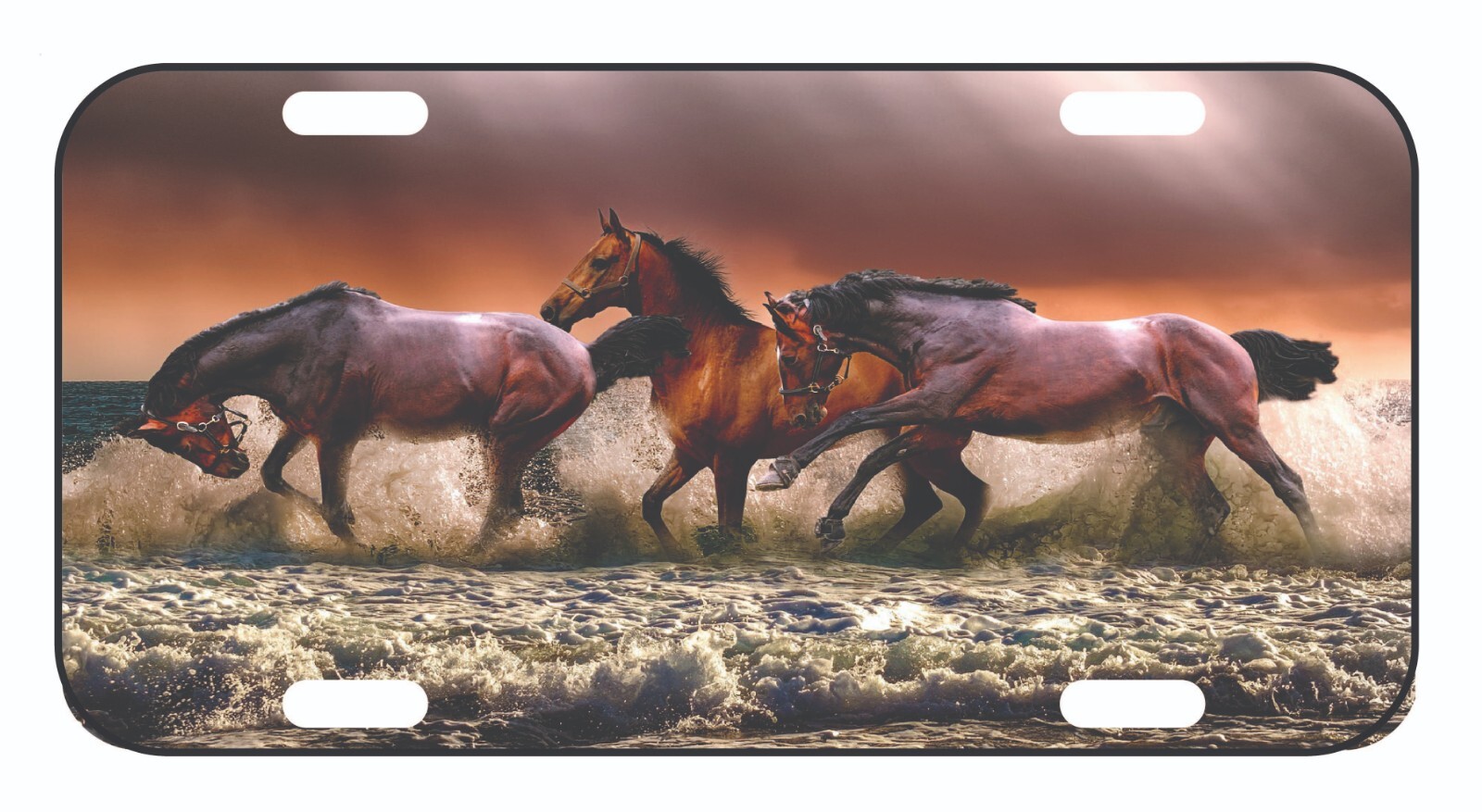 Horses License Plate Auto Tag | eBay
