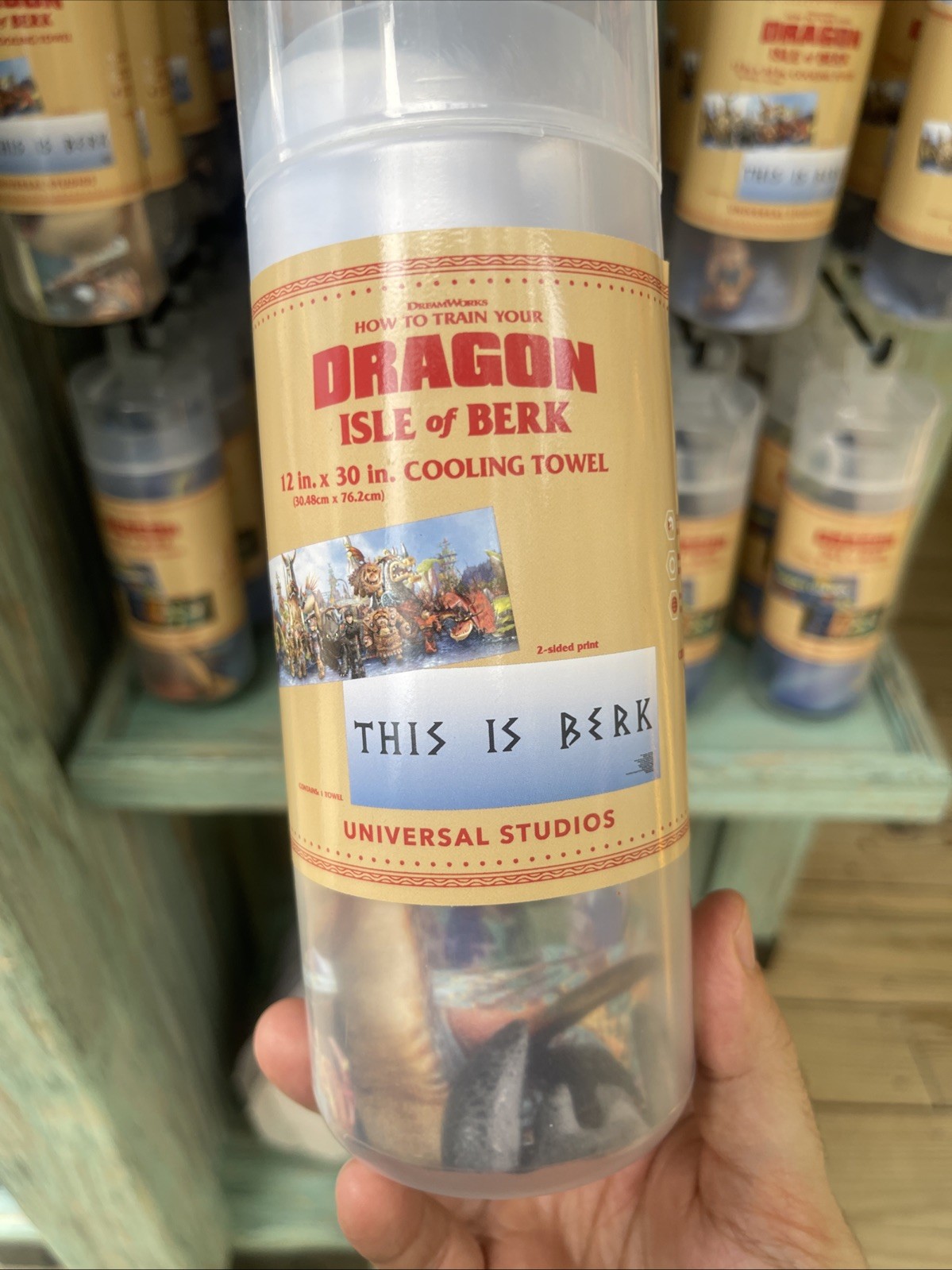 Universal Epic Universe How Train Your Dragon HTTYD This Is Berk ...