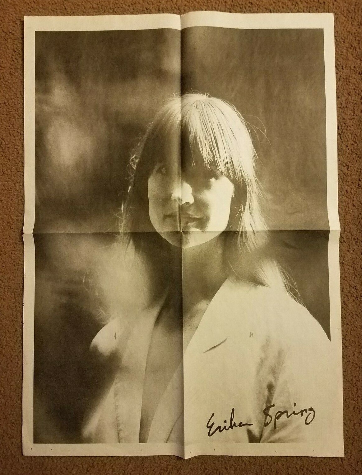 Erika Spring 17" x 22" US promo poster EX condition It has been folded ...