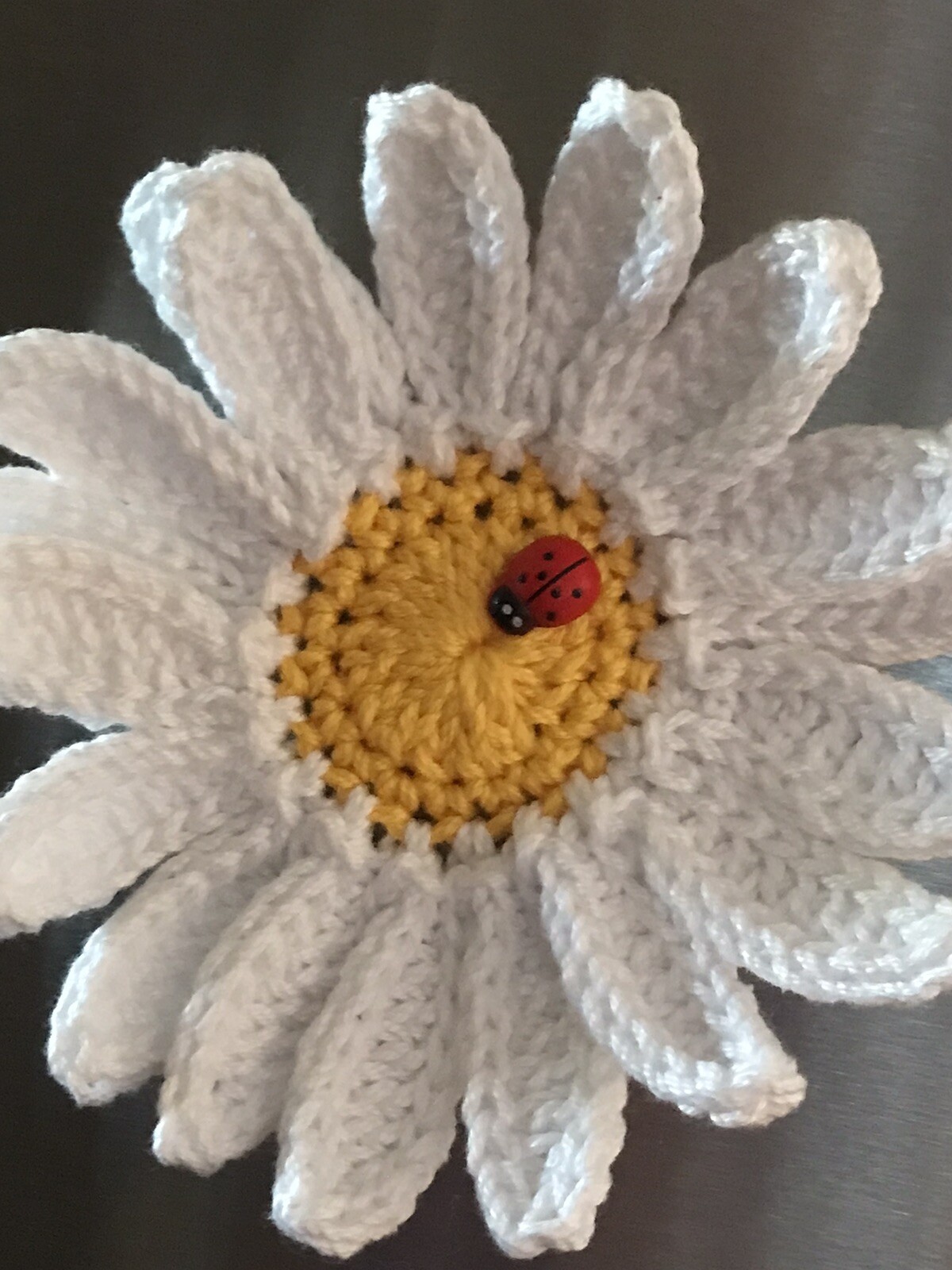 Hand Crocheted Flower Refrigerator Magnets Set w/Crochet Gift Bag🌺USA ...