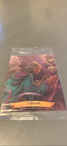 NEW Harry Potter Voldemort Holographic Collector Card # 10 sealed in ...