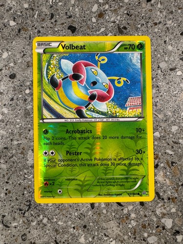 Pokemon TCG Cards Volbeat 17/160 Primal Clash Reverse Holo EXC-NM ...