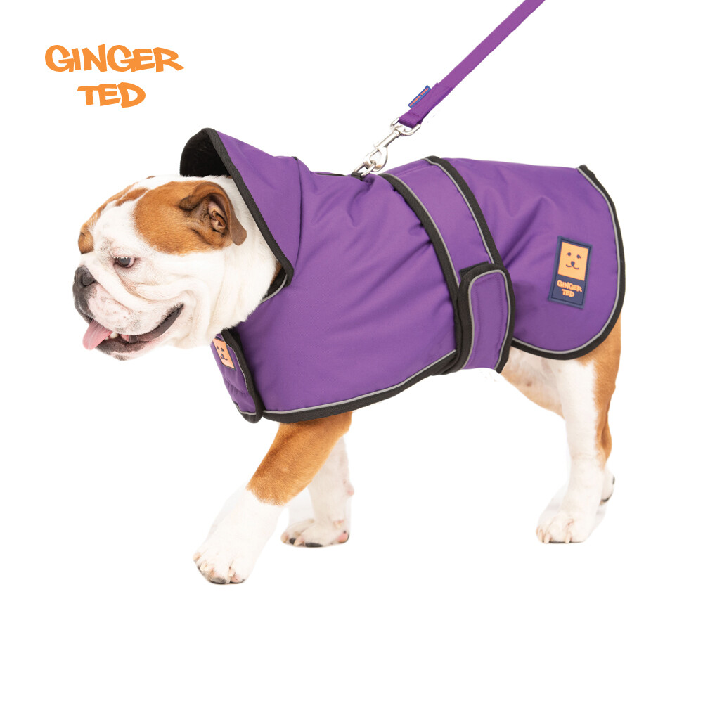 Ginger Ted Waterproof Bulldog Frenchie Dog Coat - warm harness, barrel ...