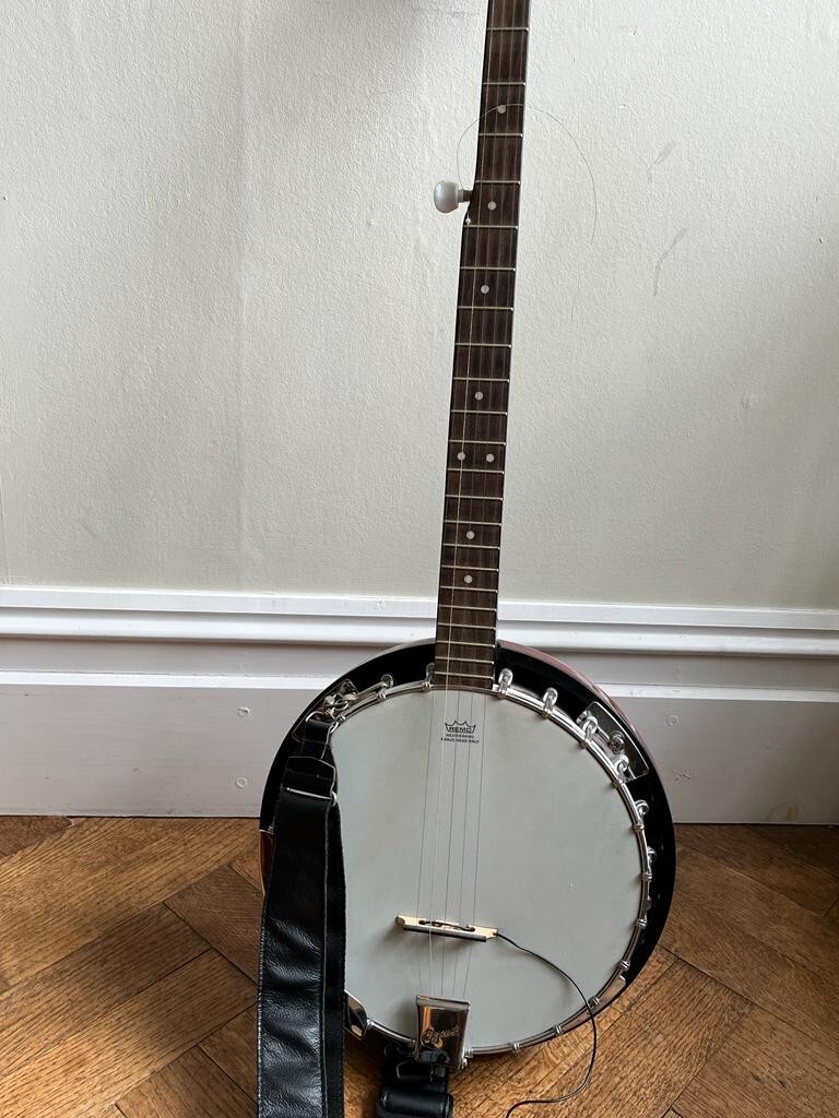 Ozark 5 string Banjo With Upgraded Shadow Pickup! | eBay UK