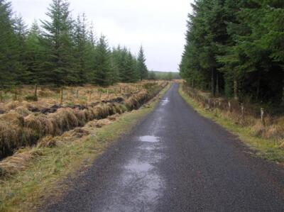 Photo 6x4 Tullycar Road Barnes Bridge It is passing by Killeter Forest ...