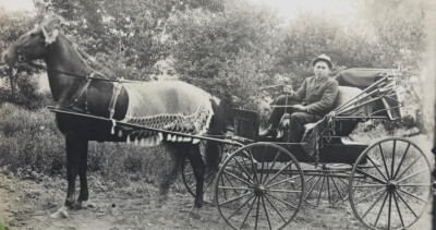 Antique RPPC Horse Drawn Buggy Young Man Hat Suit Fly Net Head ...