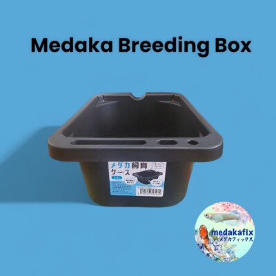 Medaka Rice Fish Breeding Box 0.63 gal. Rice Fish Matte Finish Black ...