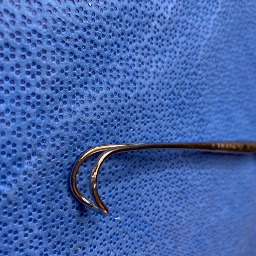 Weck 481520 GREEN Retractor 8”L Stainless Steel | eBay