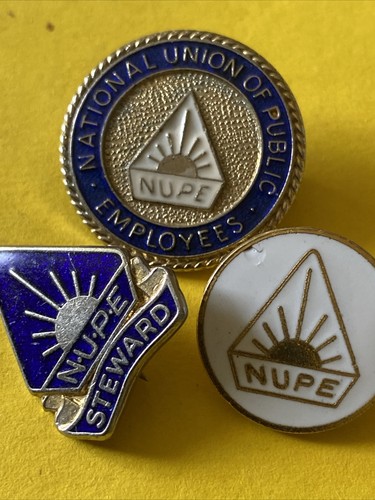 3 Vintage NUPE (N-U-P-E) Enamel Badges. National Union Public Employees ...