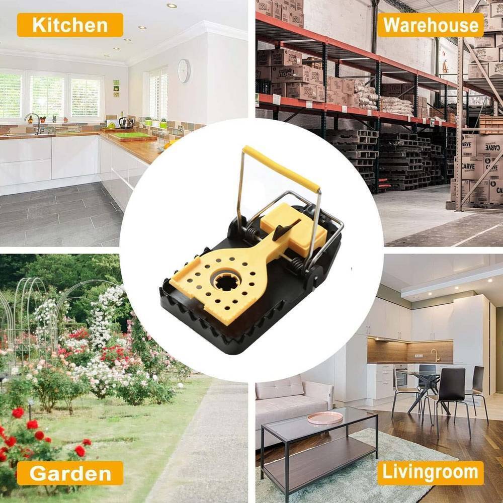 6 x Traps Intruder Reusable Mousetrap Very Easy Set Spring Mouse Trap ...