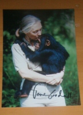 AUTOGRAFO Jane Goodall "Tierforscherin" Autogramm signed 10x15 cm foto ...