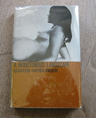A MONOTONOUS LANDSCAPE by Gunter Herburger - 1st/1st UK 1969 HCDJ ...