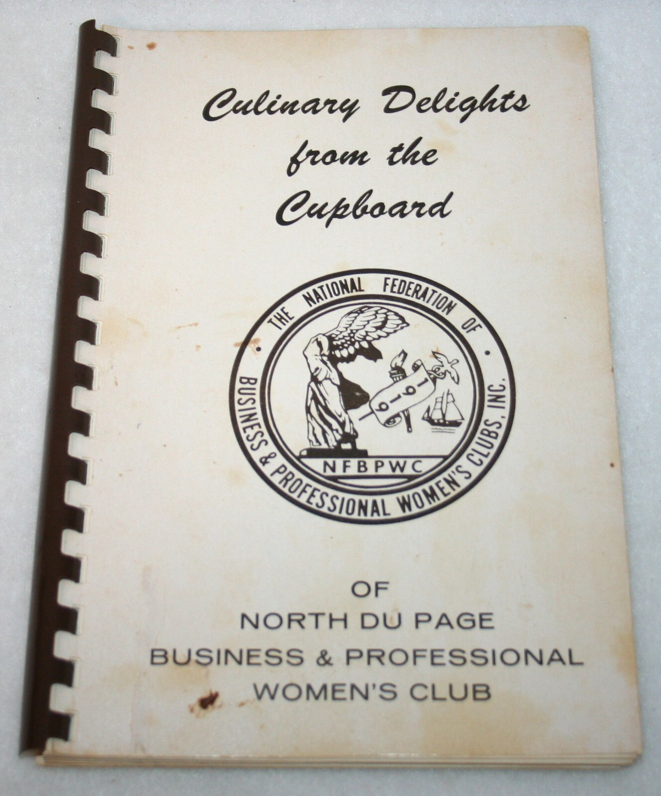 Vintage NFBPWC Du Page Illinois Business & Professional Womens Club ...