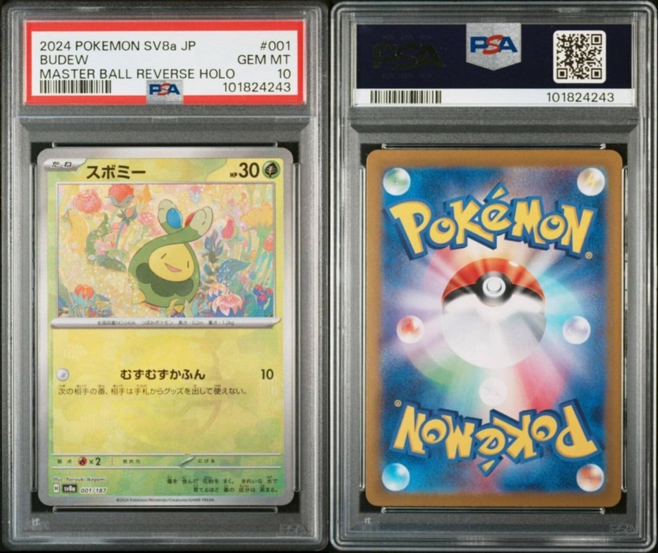 2024 Budew Master Ball Reverse Holo sv8a Terastal Festival Japanese PSA ...