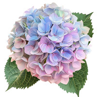 Hydrangea Flower Wall Decal Sticker | Offer of the day