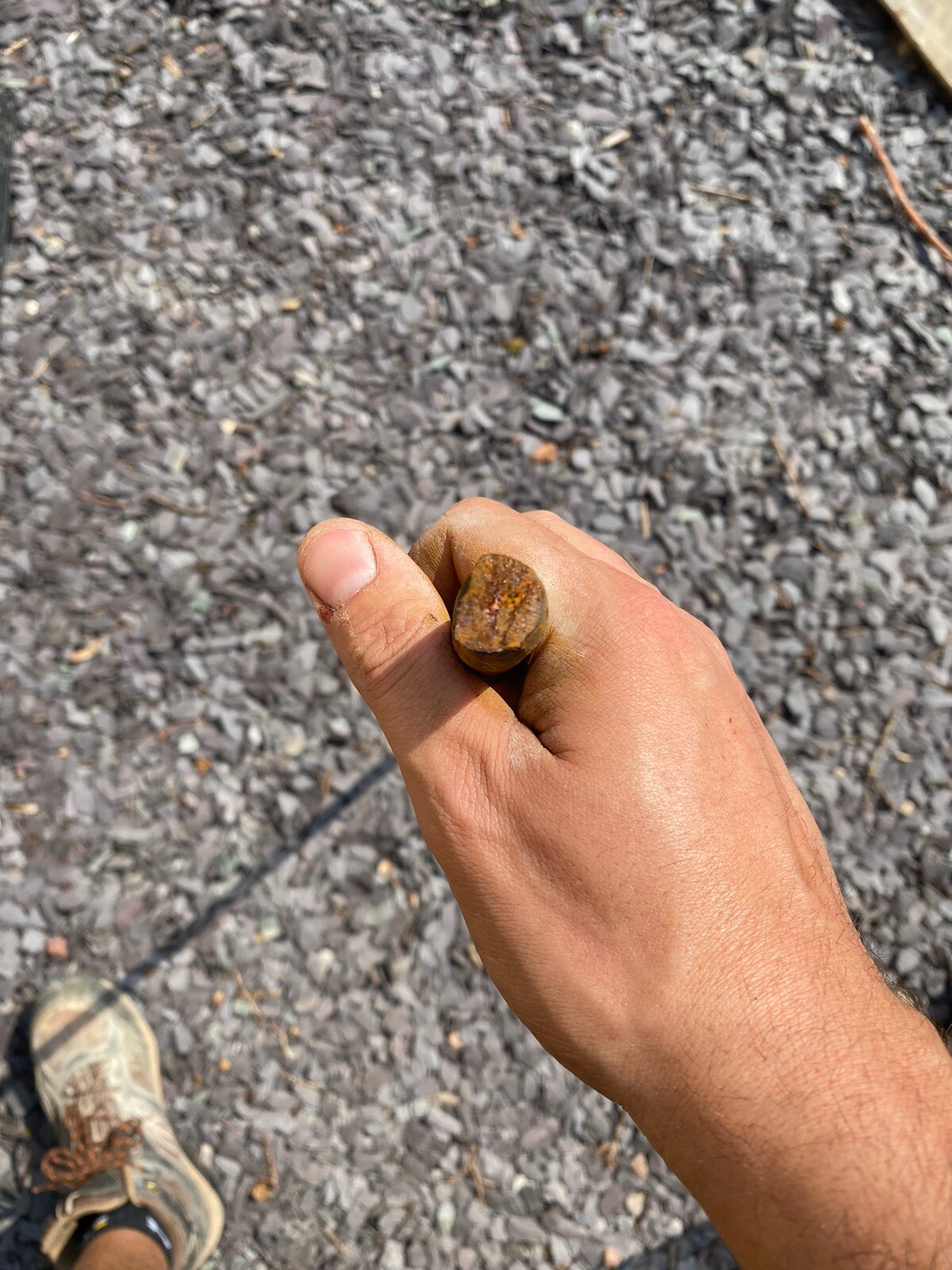 Steel Setting Out Road Pins 16mm 1000mm Long | eBay UK