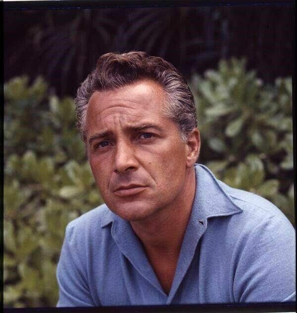Rossano Brazzi Portrait South Pacific star Original 2.25 x 2.25 ...
