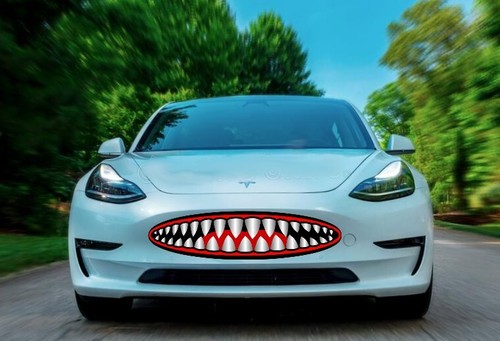 Tesla Shark Mouth Sharp Teeth Custom Front Bumper Decal/Sticker | Red ...