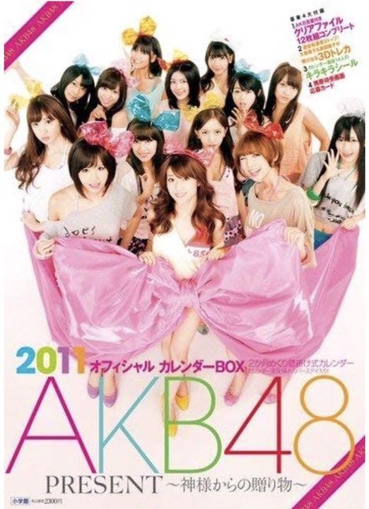 Akb48 Official Calendar Box 2011 | eBay