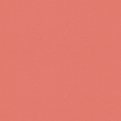 Plain Coral Colored Wallpaper