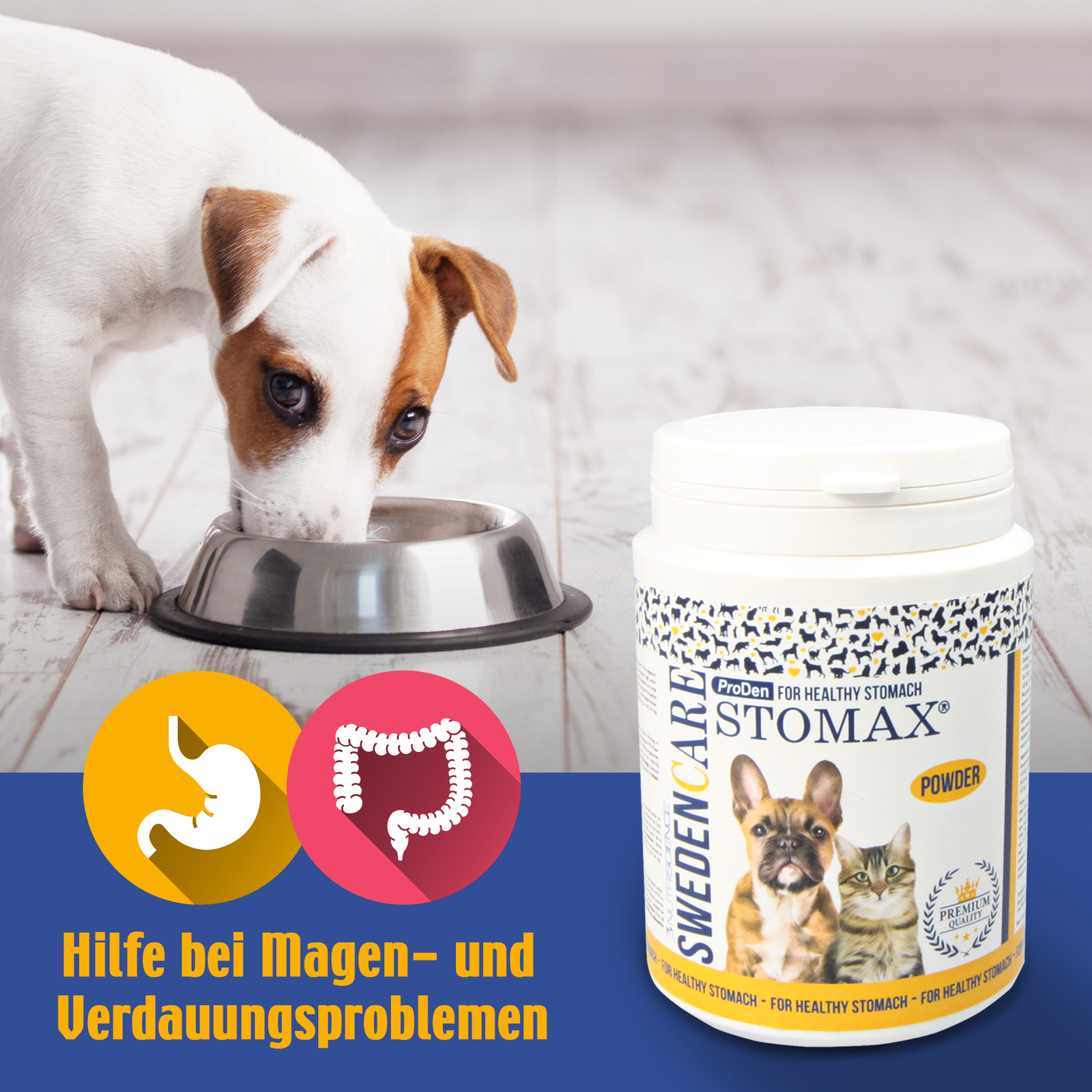 Stomax Ergänzungsmittel für Hunde hilft bei Magen und ...