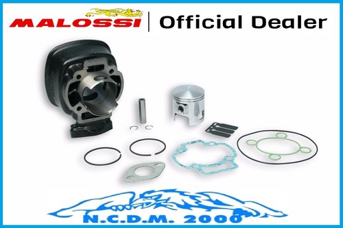 Malossi Cylinder Ø 47 in Cast Iron H2O Piston Ø 10 Derbi Paddock 50 2T ...