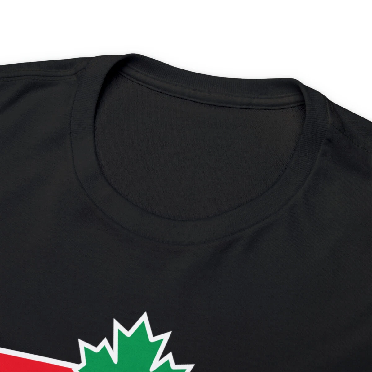 Leading Department Store Logo