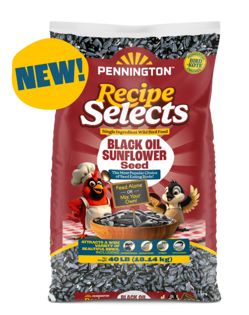 40 lb Black Oil Sunflower Seeds Wild Bird Food - High Protein No Mess ...