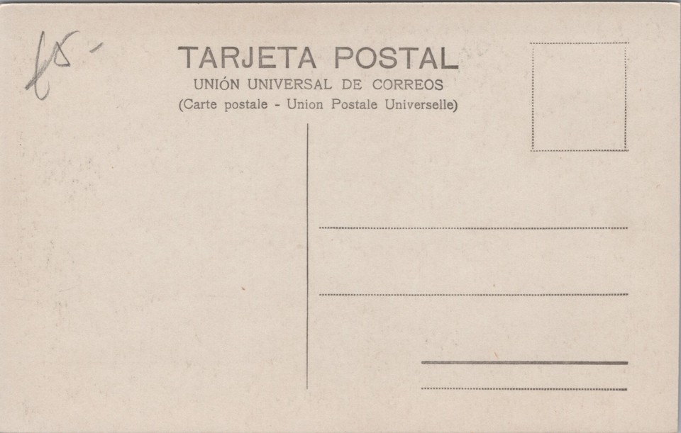 Argentina Republica Argentina Tuna Cactus Vintage RPPC C138 | eBay