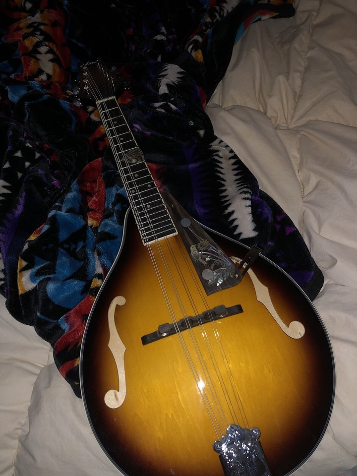 Custom Sunburst Mandolin; Rosewood Pickguard Abalone Inlay, PRO setup ...