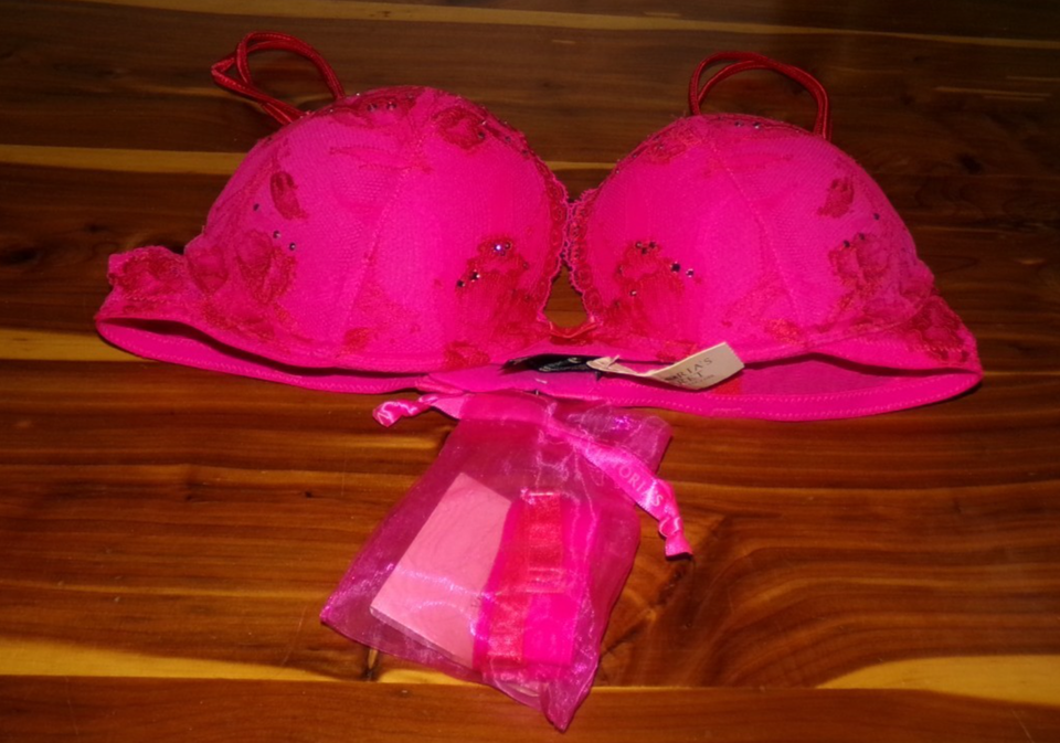 VS Sexy Little Things Padded Plunge Pink w/Red Stitched Fishnet Lace ...