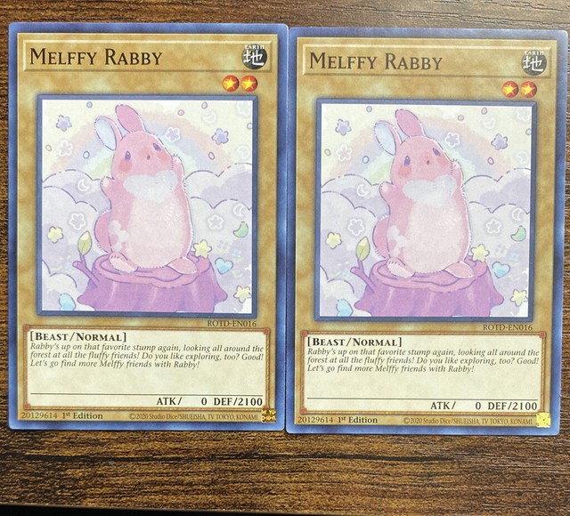 2x Melffy Rabby - ROTD-EN016 - Common 1st Edition Near Mint YGO Rise of ...