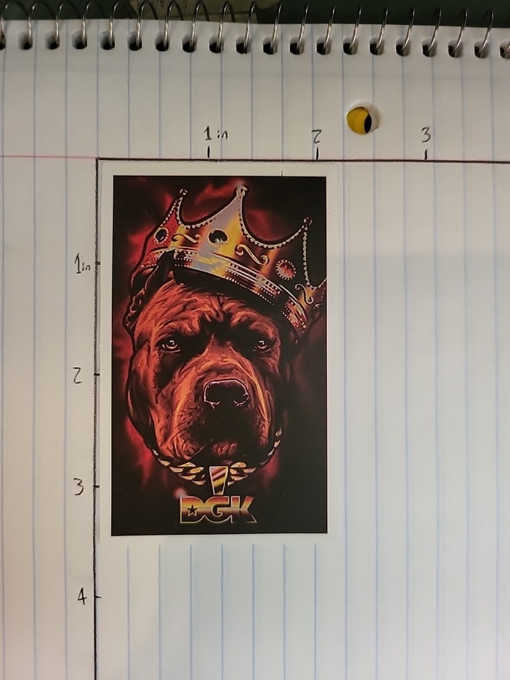 Dgk Pitbull Dog Crown Gold Chain Sticker Logo Decal | eBay