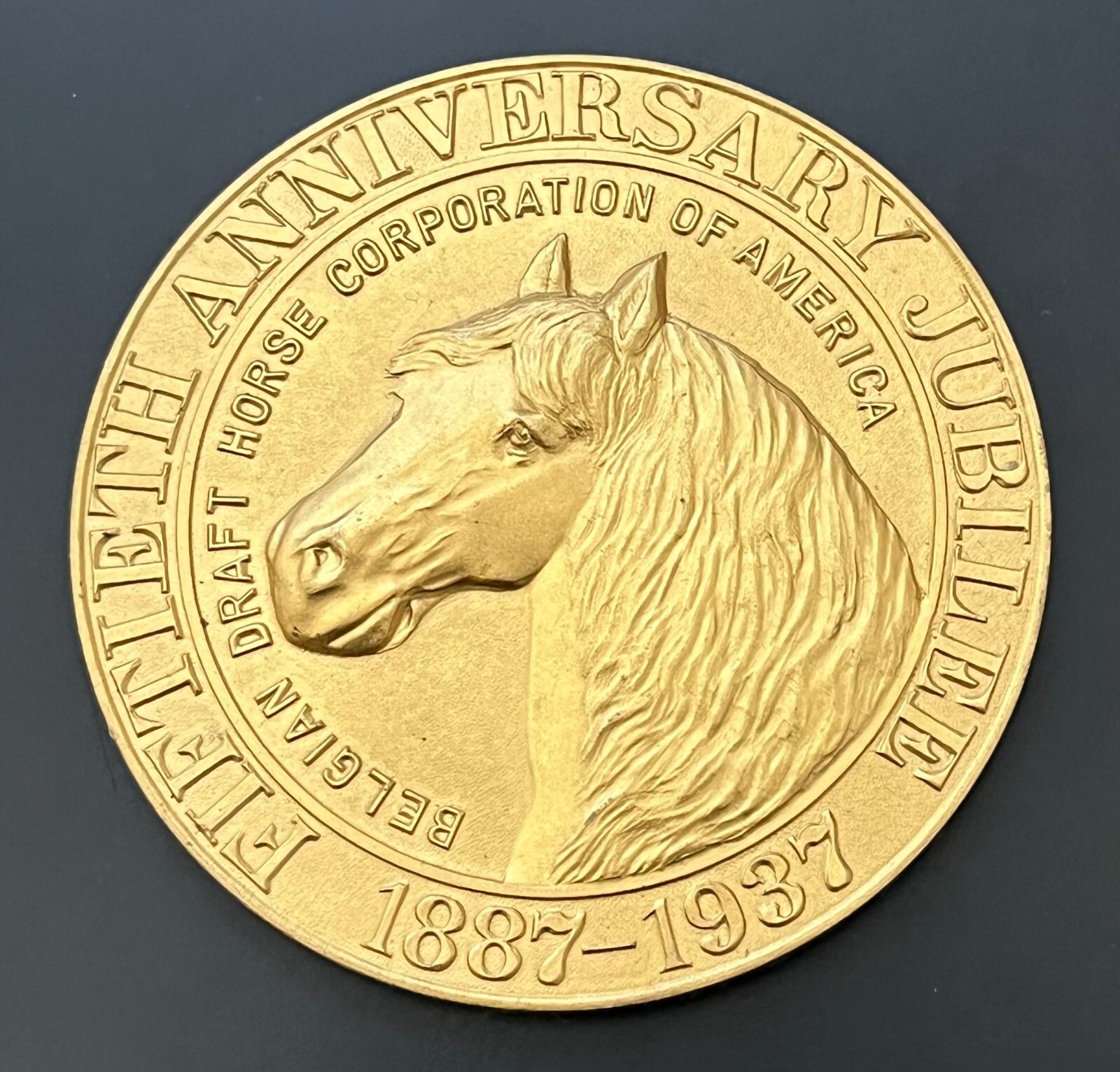 1937 Belgian Draft Horse Corporation of America Medal Paperweight 50th ...