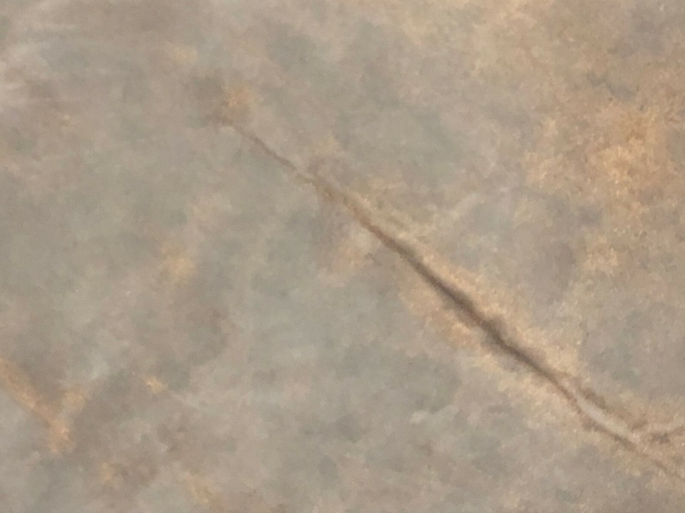 Horween Leather Company Full Hyde Dark Brown Predator 5.5 ounce leather ...