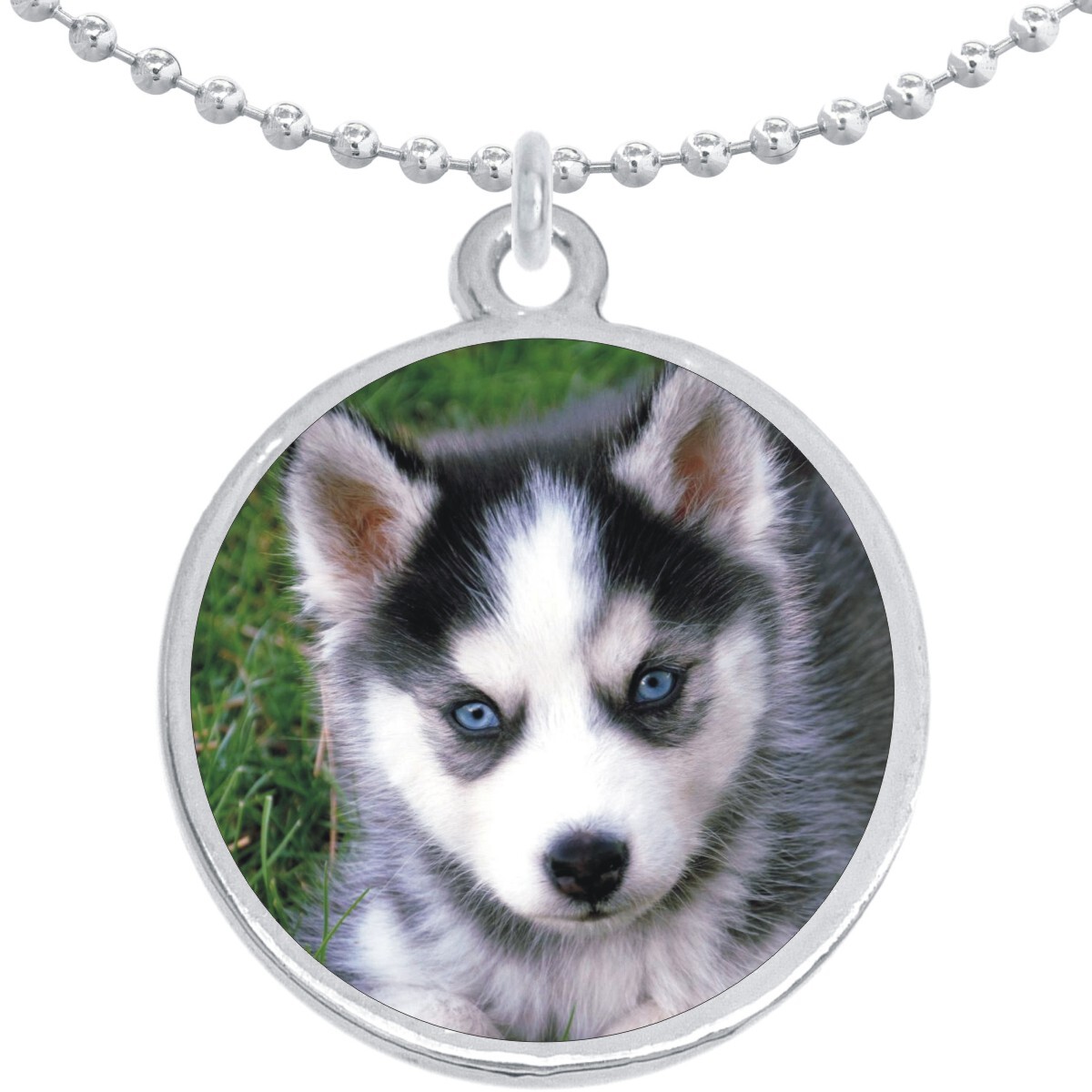 Husky Puppy Round Pendant Necklace Beautiful Fashion Jewelry | eBay