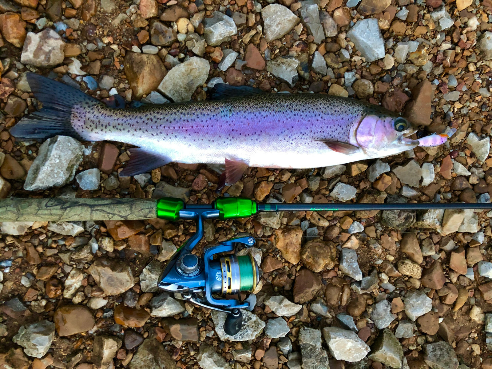 LOZ Lures Custom Burned Cork Fishing Rod / Fly Rod Handle Art | eBay