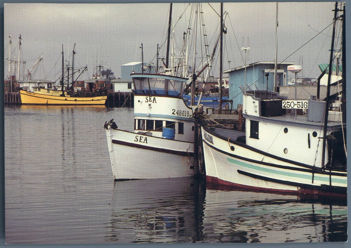 Commercial Fishing Boats