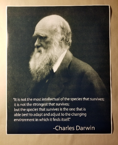 Charles Darwin Quote 30" x 24" Poster Print Intellectual Strongest ...