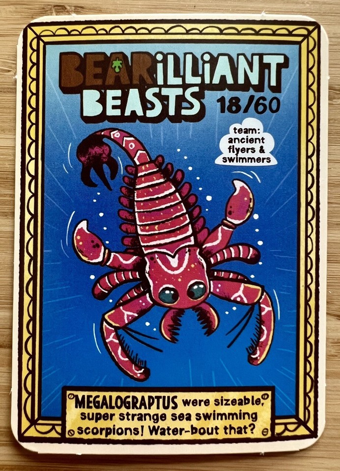 YoYo Bear Cards 2023 Bearilliant Beasts - GREAT CONDITION - ALL ...