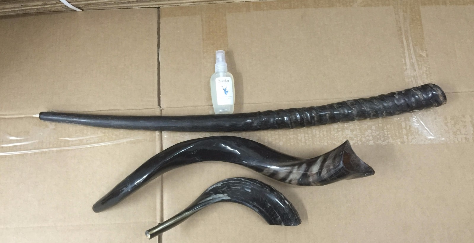 Set 3 shofars Kudu Yemenite Ram Gemsbok Oryx Horn Shofar Gift Odor ...