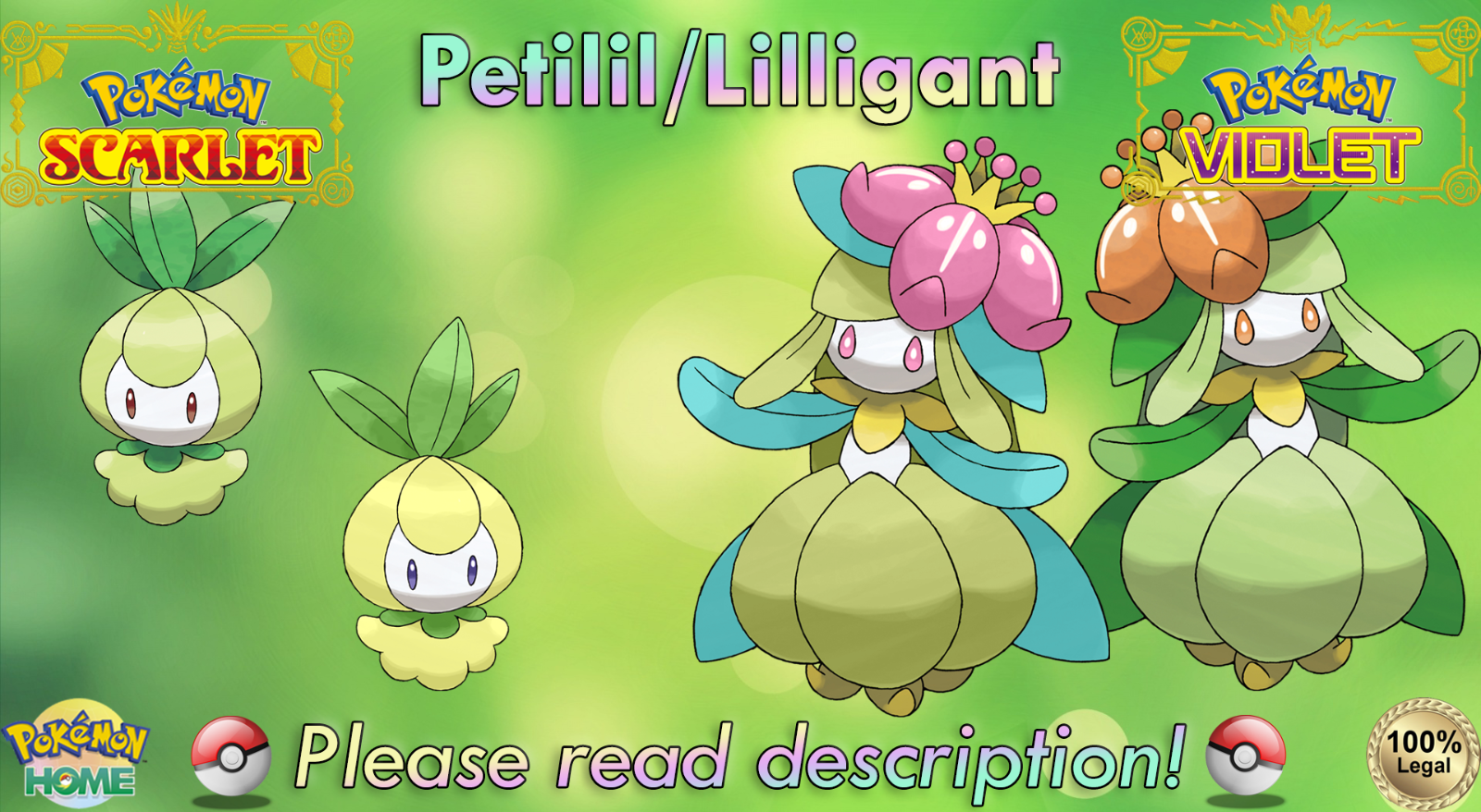 🍊Shiny/Non-shiny Petilil/Lilligant 6IV🍇Pokémon Scarlet/Violet (💯Legal) | eBay