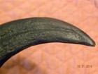 Huge UTAHRAPTOR claw 9" jurassic dinosaur black replica claw | eBay