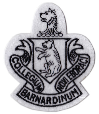 BARNARD BEARS NCAA COLLEGE VINTAGE 3" SHIELD TEAM LOGO PATCH | eBay
