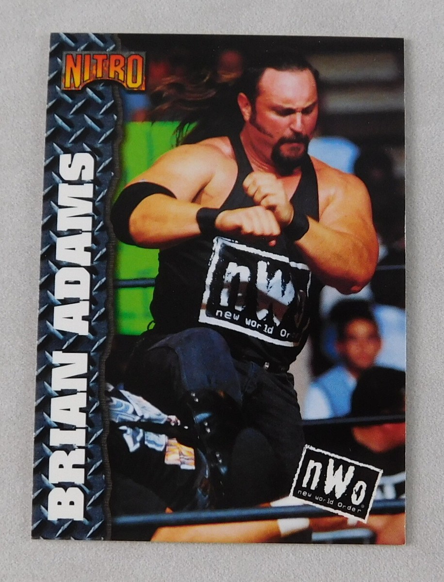 Brian Adams Crush Wrestler