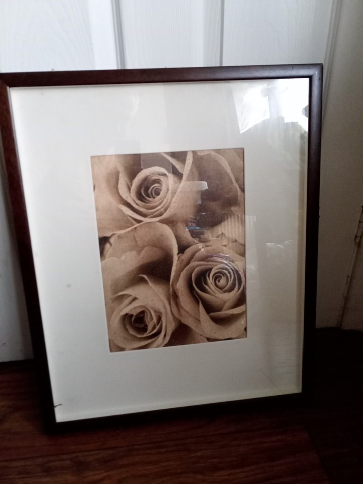 ROSES FRAMED WALL ART PICTURE PRINT 47 x 58 CM x 2 PICTURES | eBay UK
