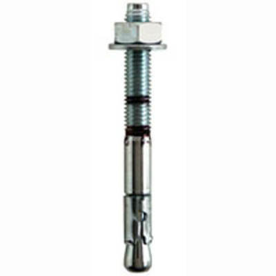 Rawl R-XPT-A4 Through Bolt A4 Stainless Steel M12 100mm Pack of 50 ...