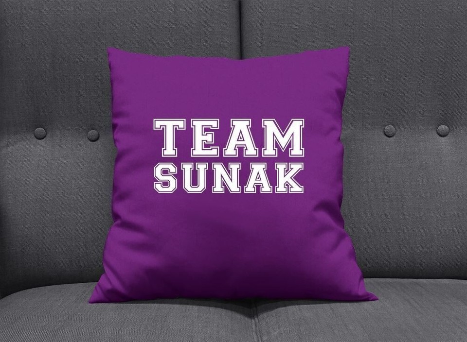 Team Sunak - Cushion - Prime Minister Rishi Tory Tories Love PM | eBay ...