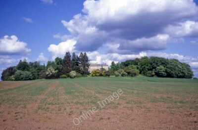 Photo 6x4 Ragley Hall Park Weethley From the edge of Icehouse Grove ...